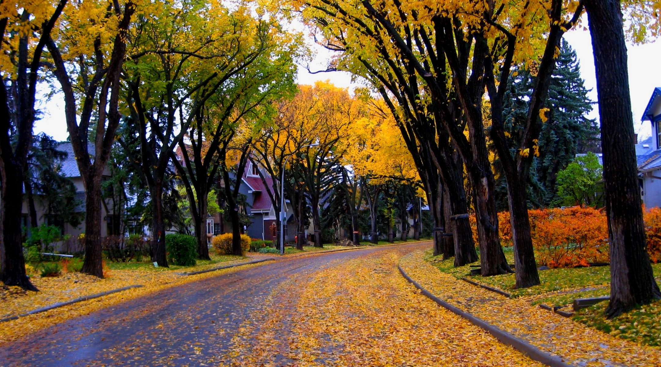 HD wallpaper nature architecture house autumn leaves trees street city ...