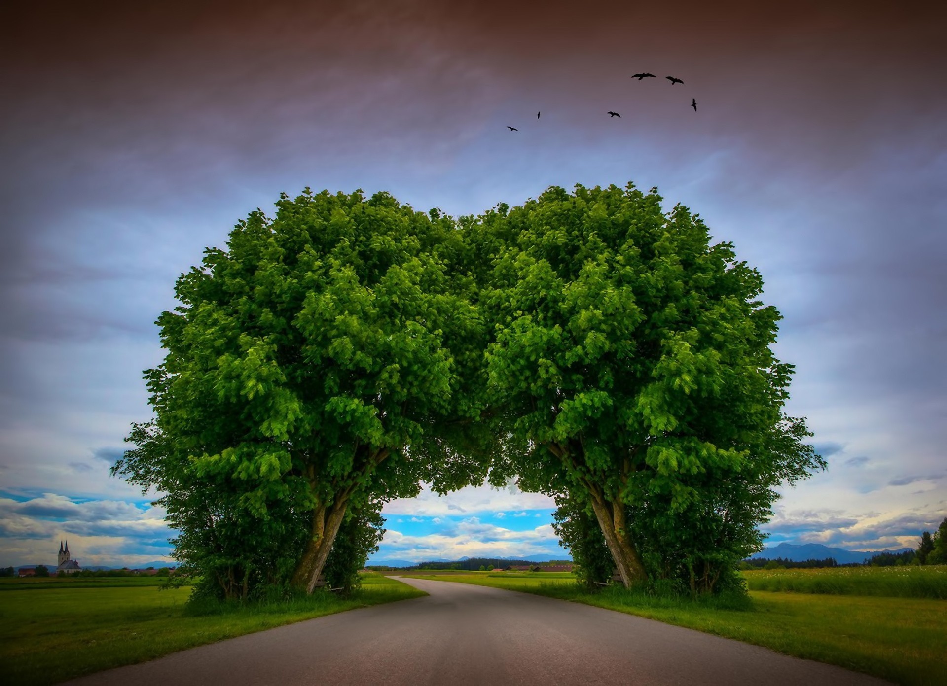 HD wallpaper arch tree landscape road birds