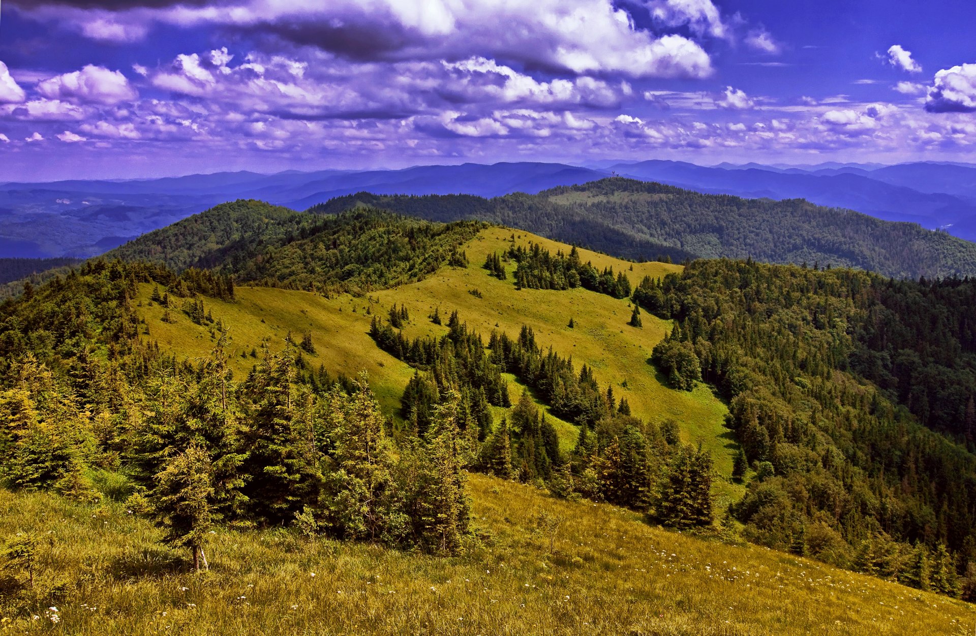 Free Wallpapers ukraine carpathian mountains mountain forest of the ...